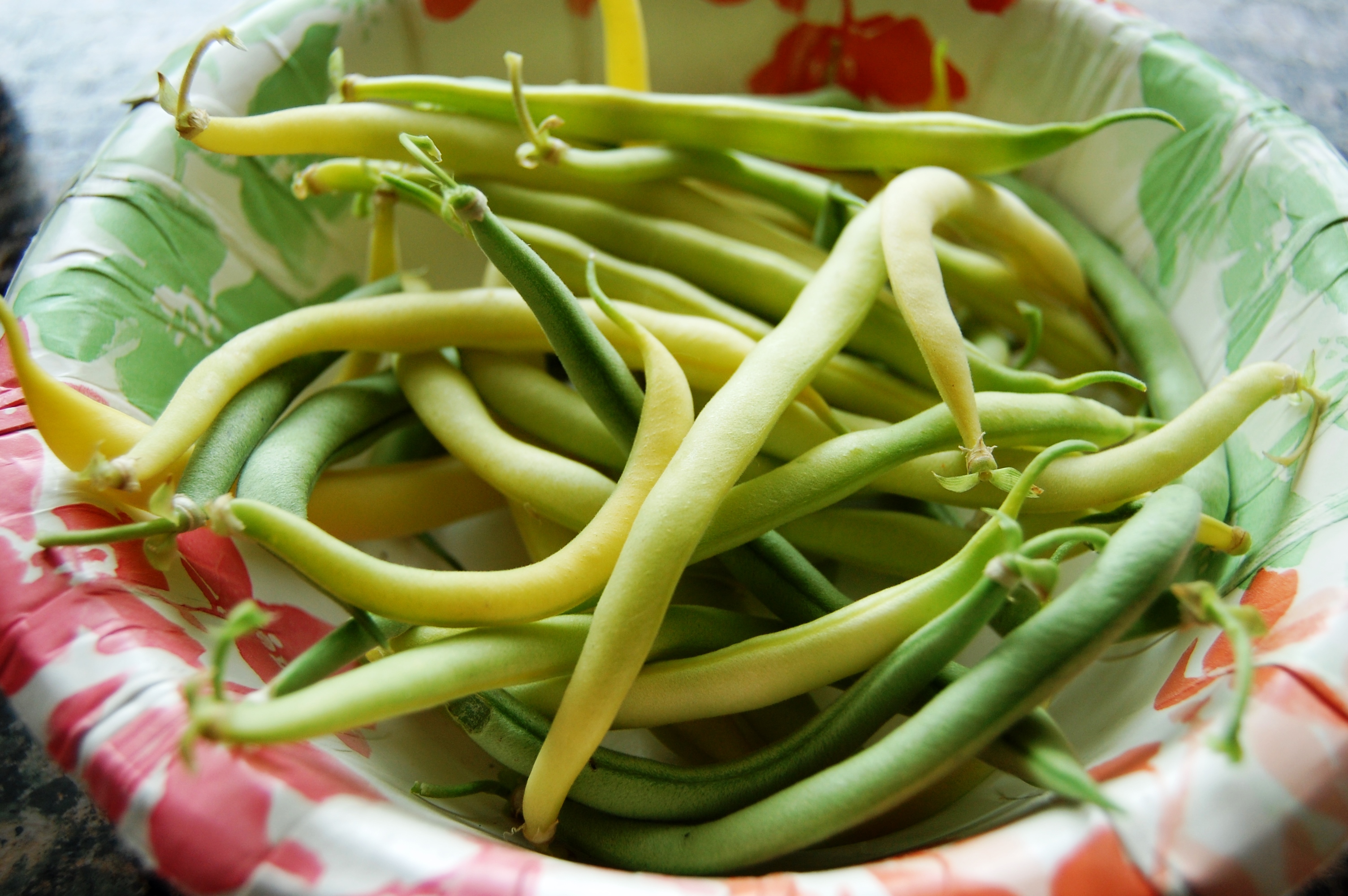 Fenugreek – Curious Foodies